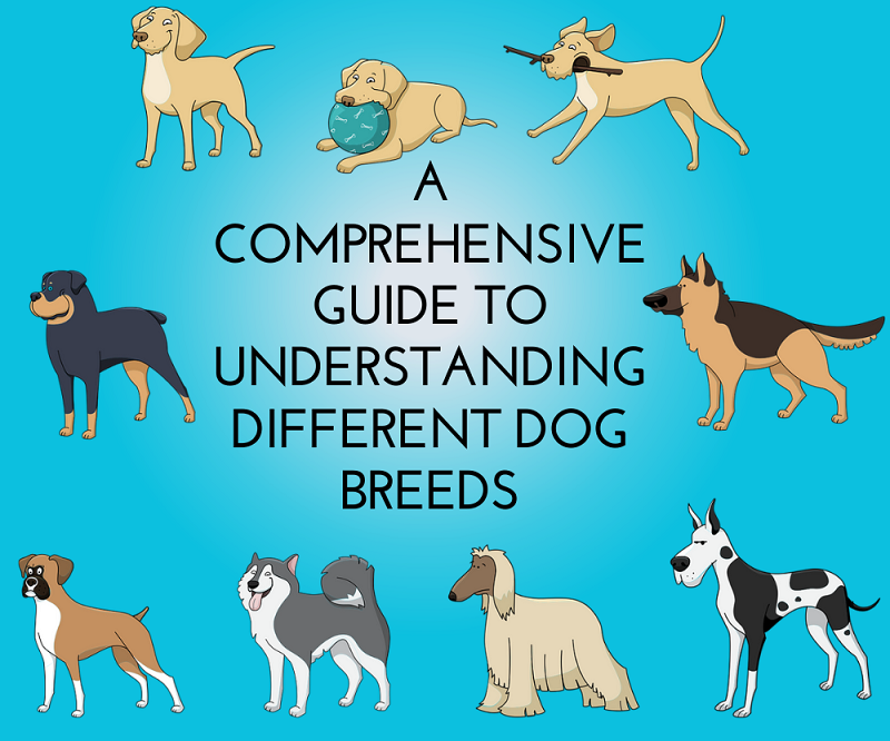 A Comprehensive Guide to Understanding Different Dog Breeds - Hometown ...